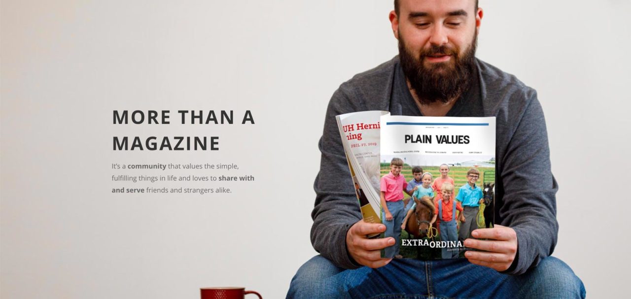 Plain Values - VIZTECH